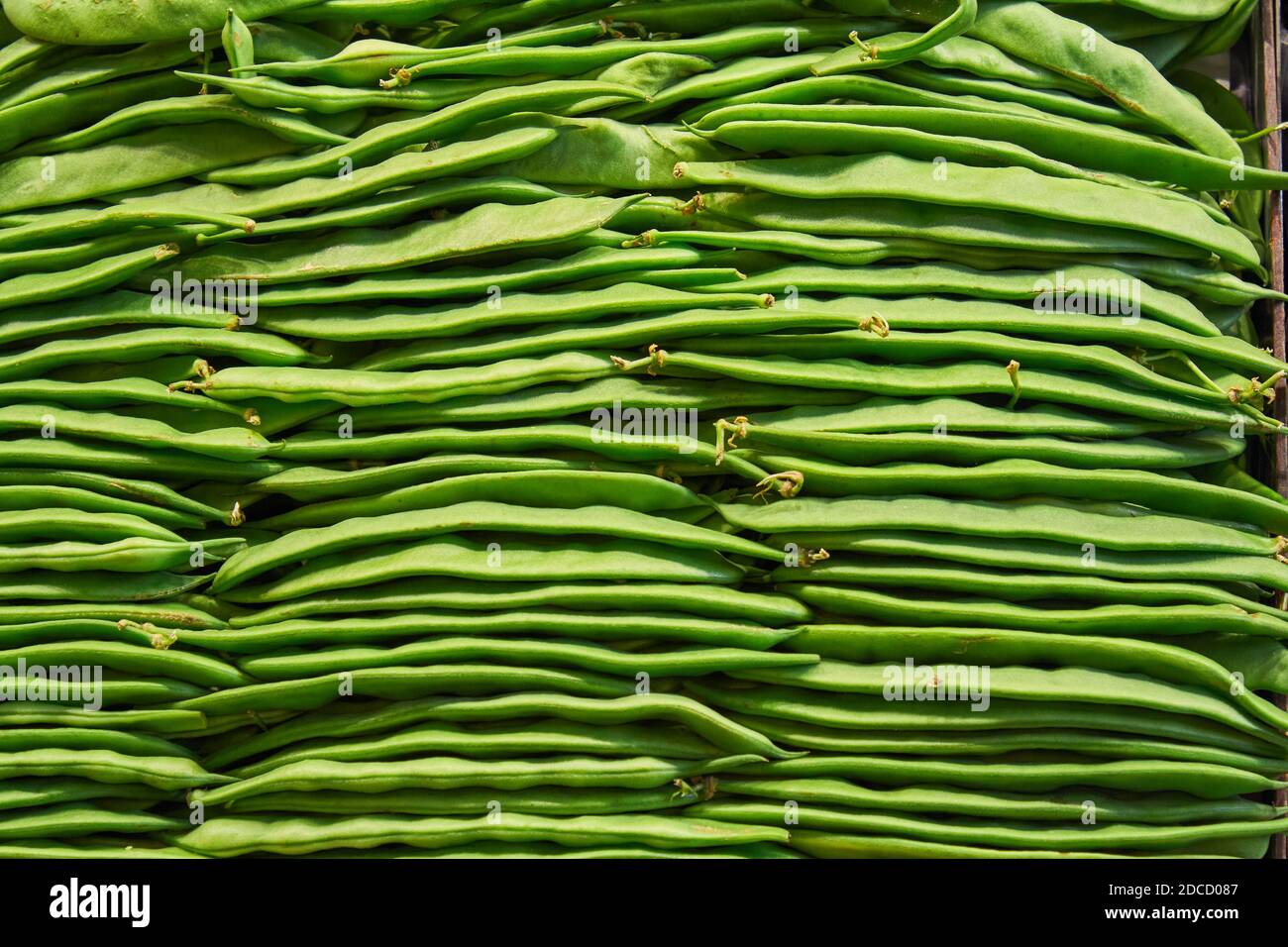 Food and beans photography hi-res stock photography and images - Alamy