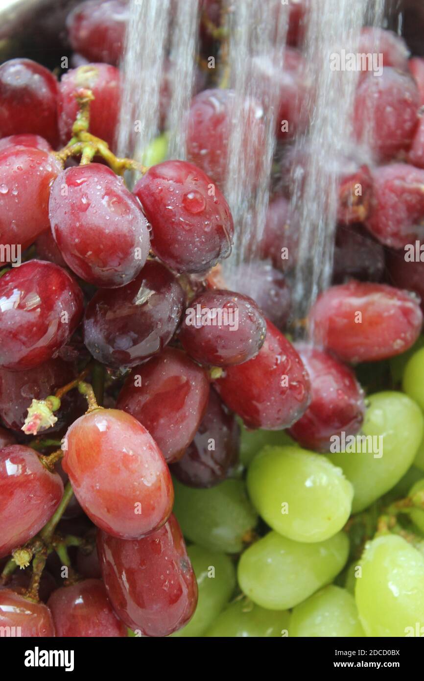 Wash grapes hi-res stock photography and images - Alamy