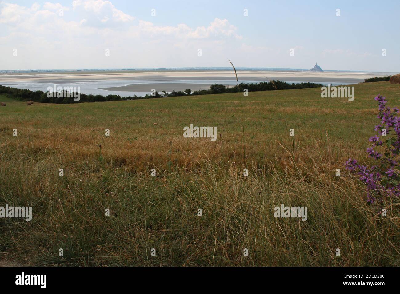 mont-saint-michel bay in normandy (france Stock Photo - Alamy