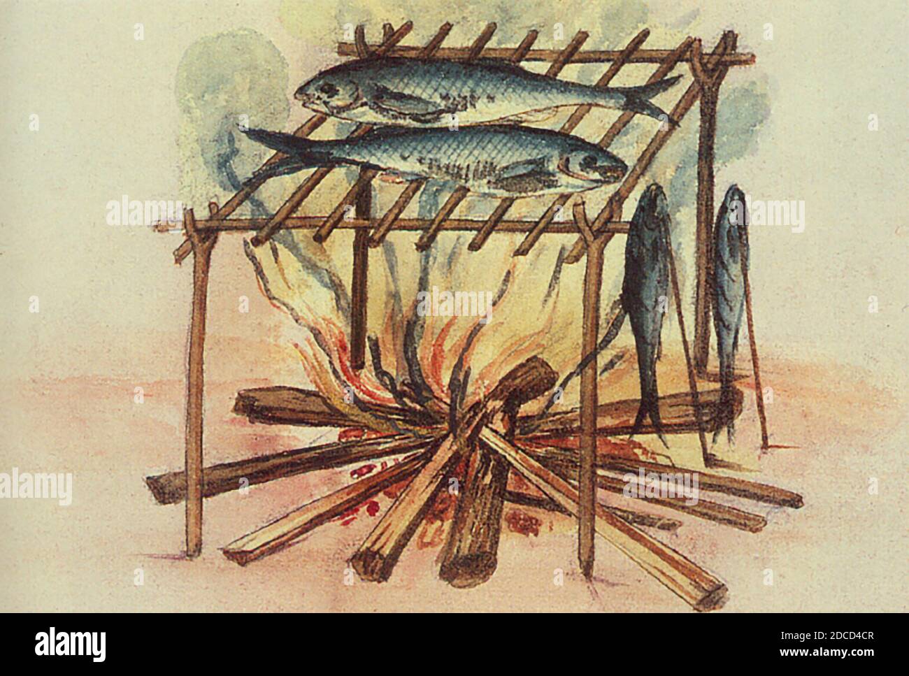 Algonquin Method for Curing Fish, 1585 Stock Photo - Alamy