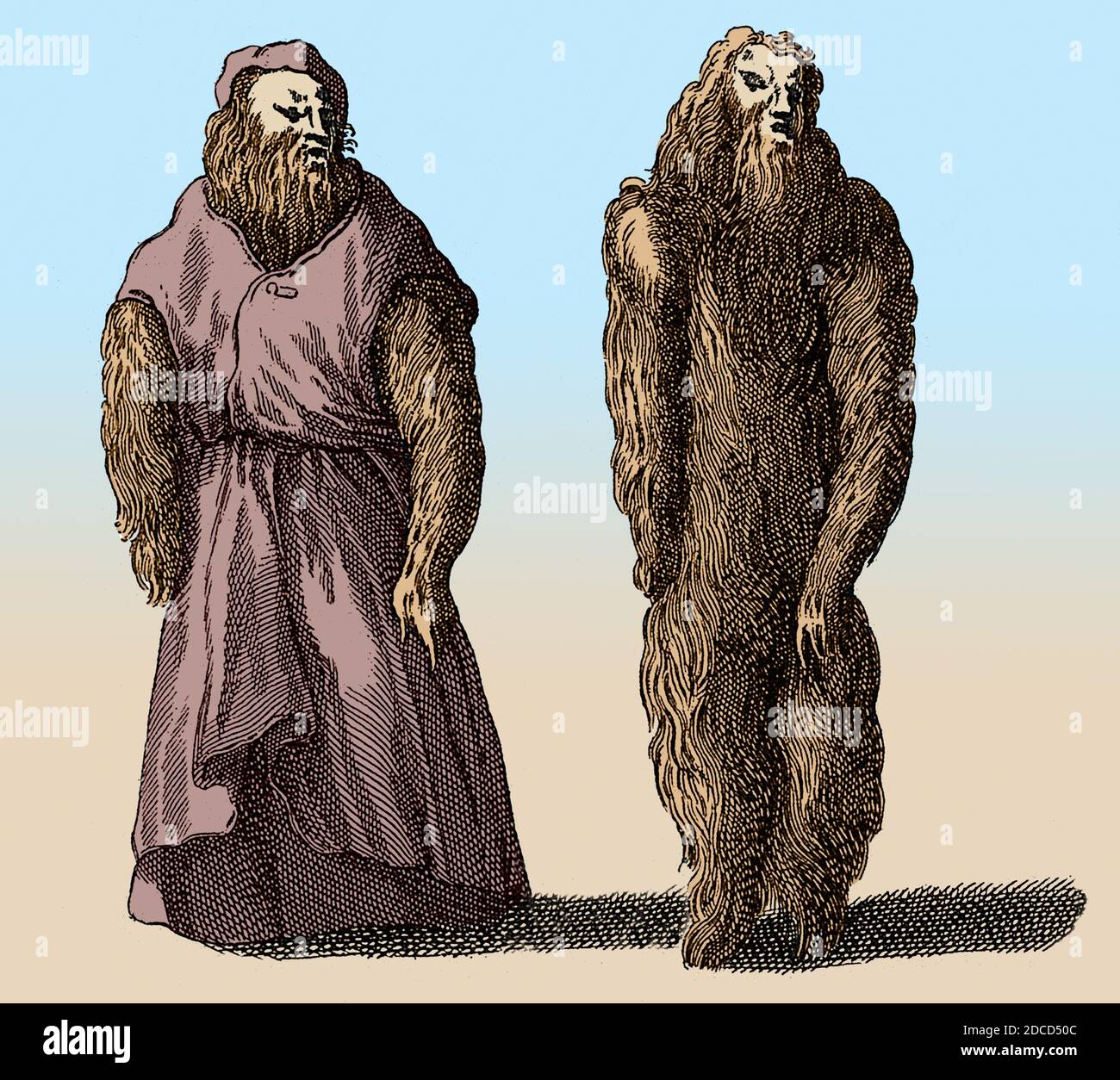 Mandrake Plant High Resolution Stock Photography and Images - Alamy