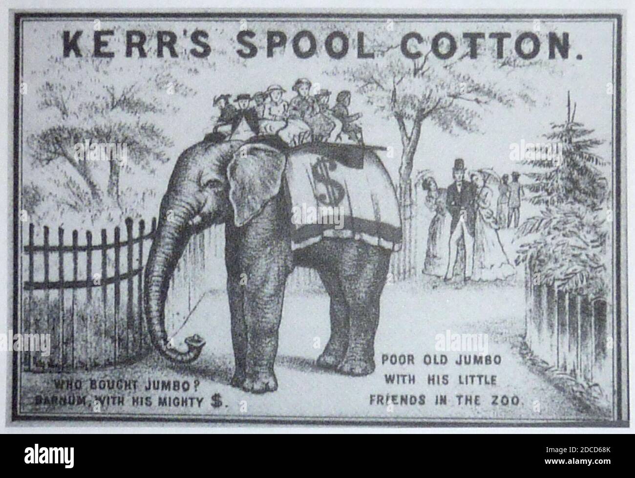 Kerrs hi-res stock photography and images - Alamy