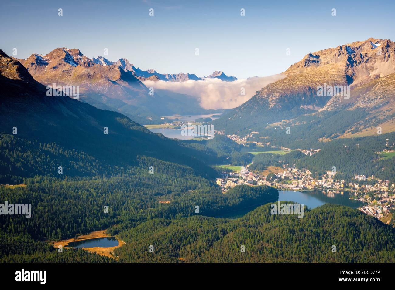 Forest st moritz hi-res stock photography and images - Alamy