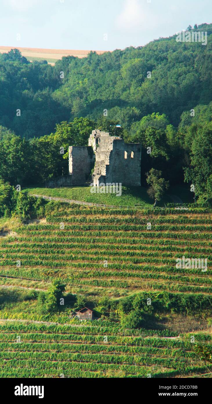 Ingelfingen hi-res stock photography and images - Alamy