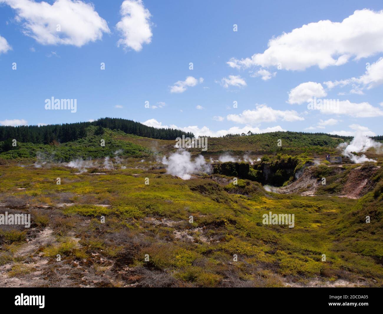 Geothermal Steaming Ground At Craters Of The Moon Taupo Stock Photo - Alamy