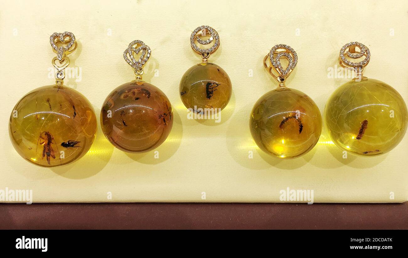 Transparent round amber pendants with insects inside Stock Photo - Alamy