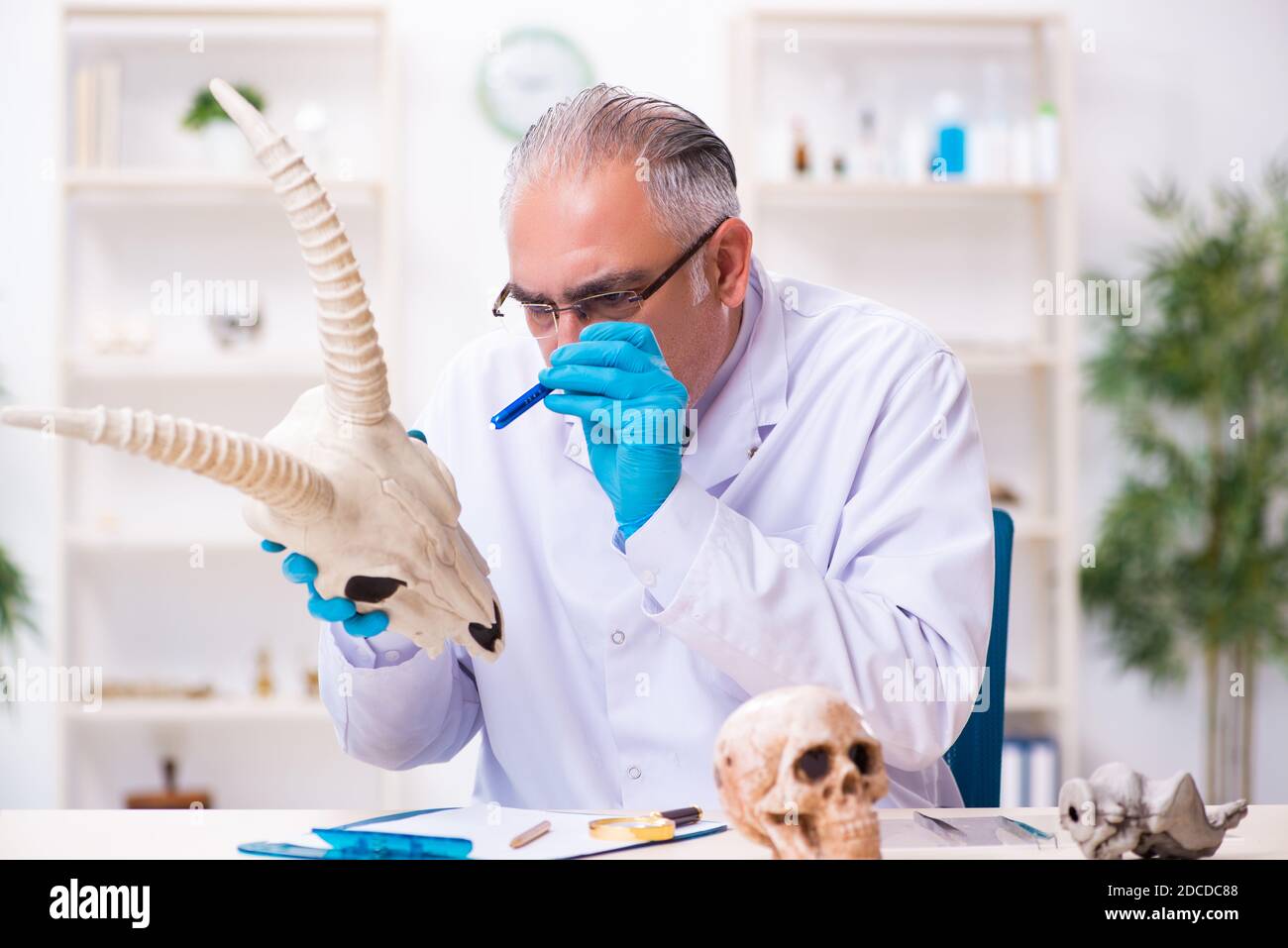 Male archaeologist bone hi-res stock photography and images - Alamy