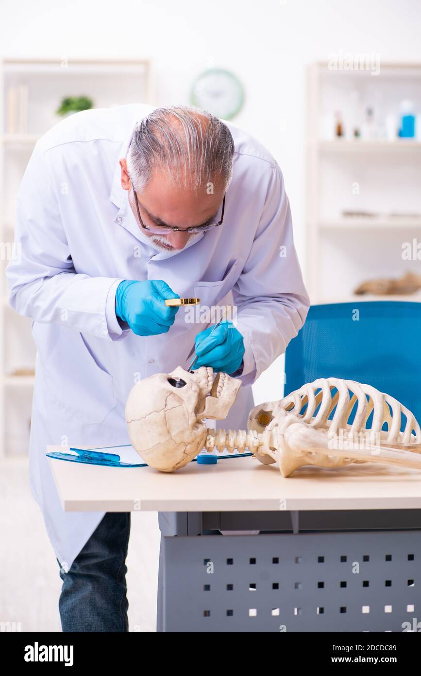 Old male anthropologist working in the lab Stock Photo - Alamy