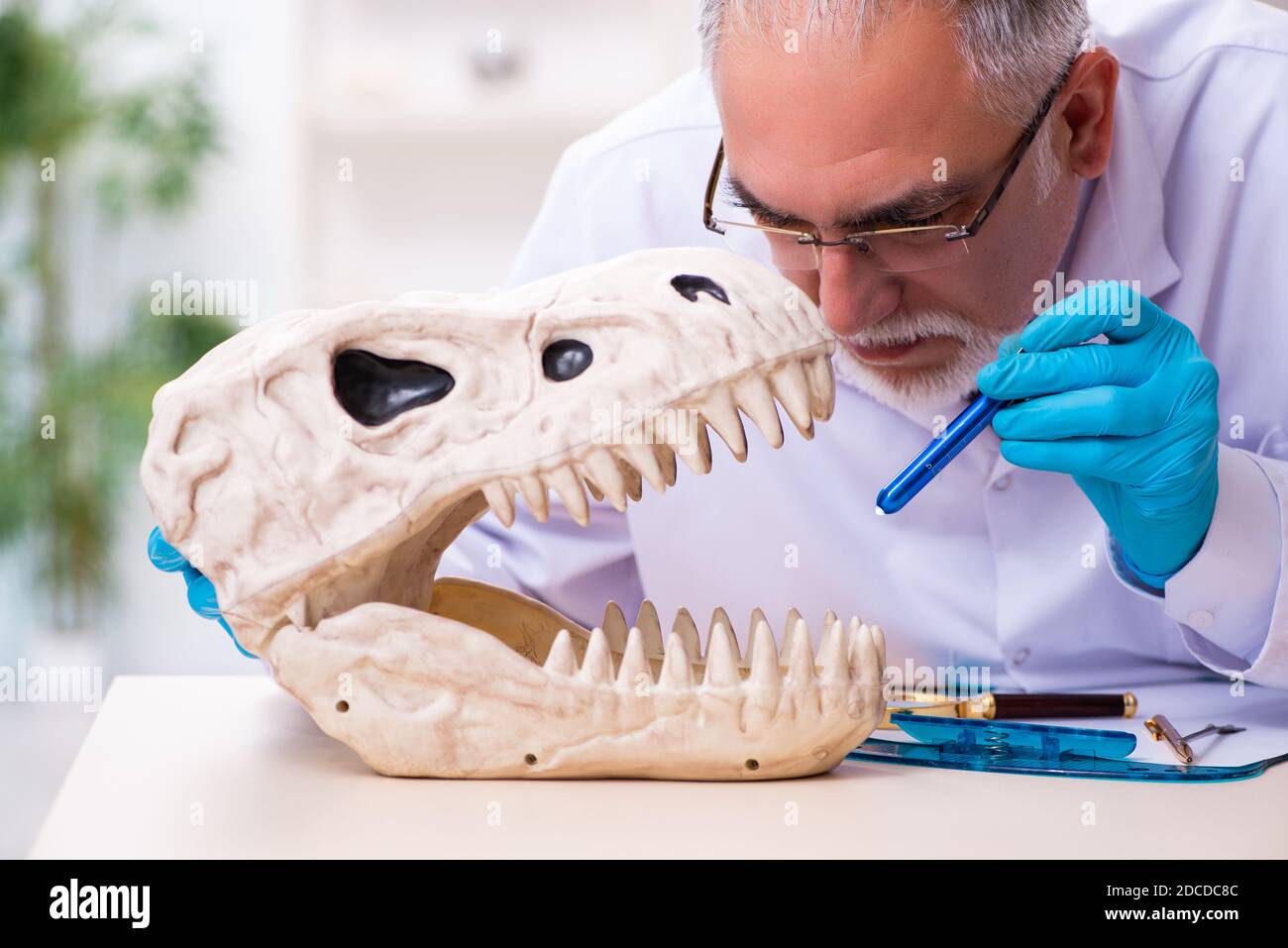 Old male paleontologist working in the lab Stock Photo - Alamy