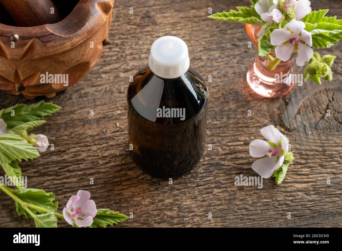 Marshmallow root hi-res stock photography and images - Alamy