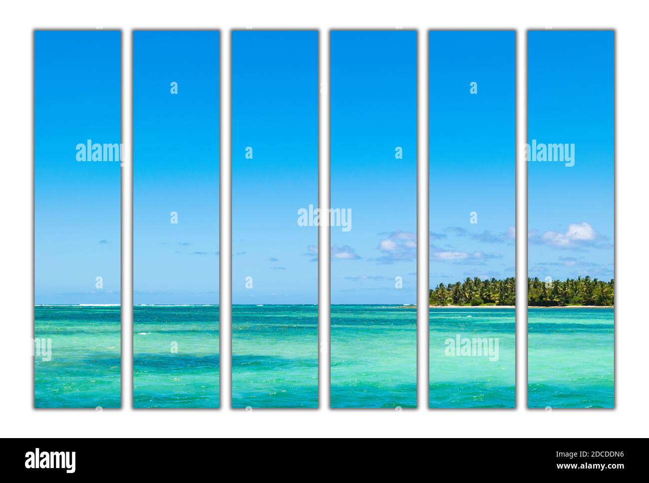 Jungle by the ocean Cut Out Stock Images & Pictures - Alamy