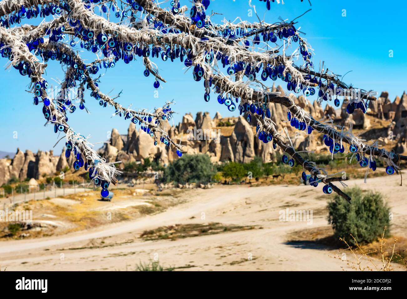 The branches of old tree decorated with evil eye amulets Nazars, Goreme ...