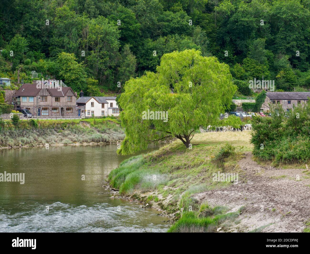 River Wye at Tintern Stock Photo - Alamy