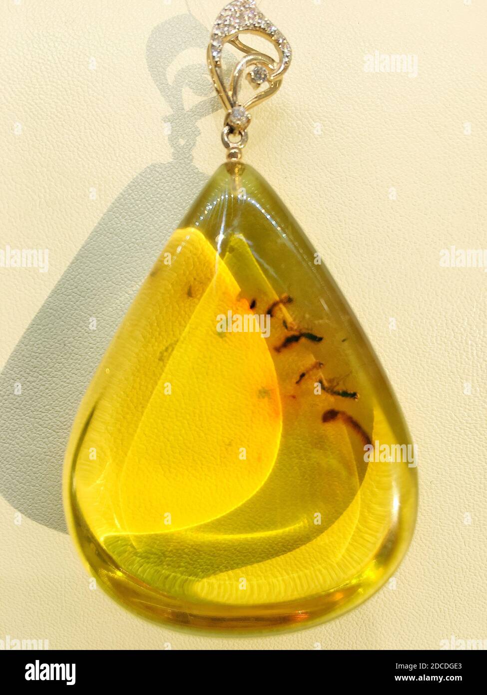 transparent Baltic amber pendant with prehistoric insects inside Stock ...