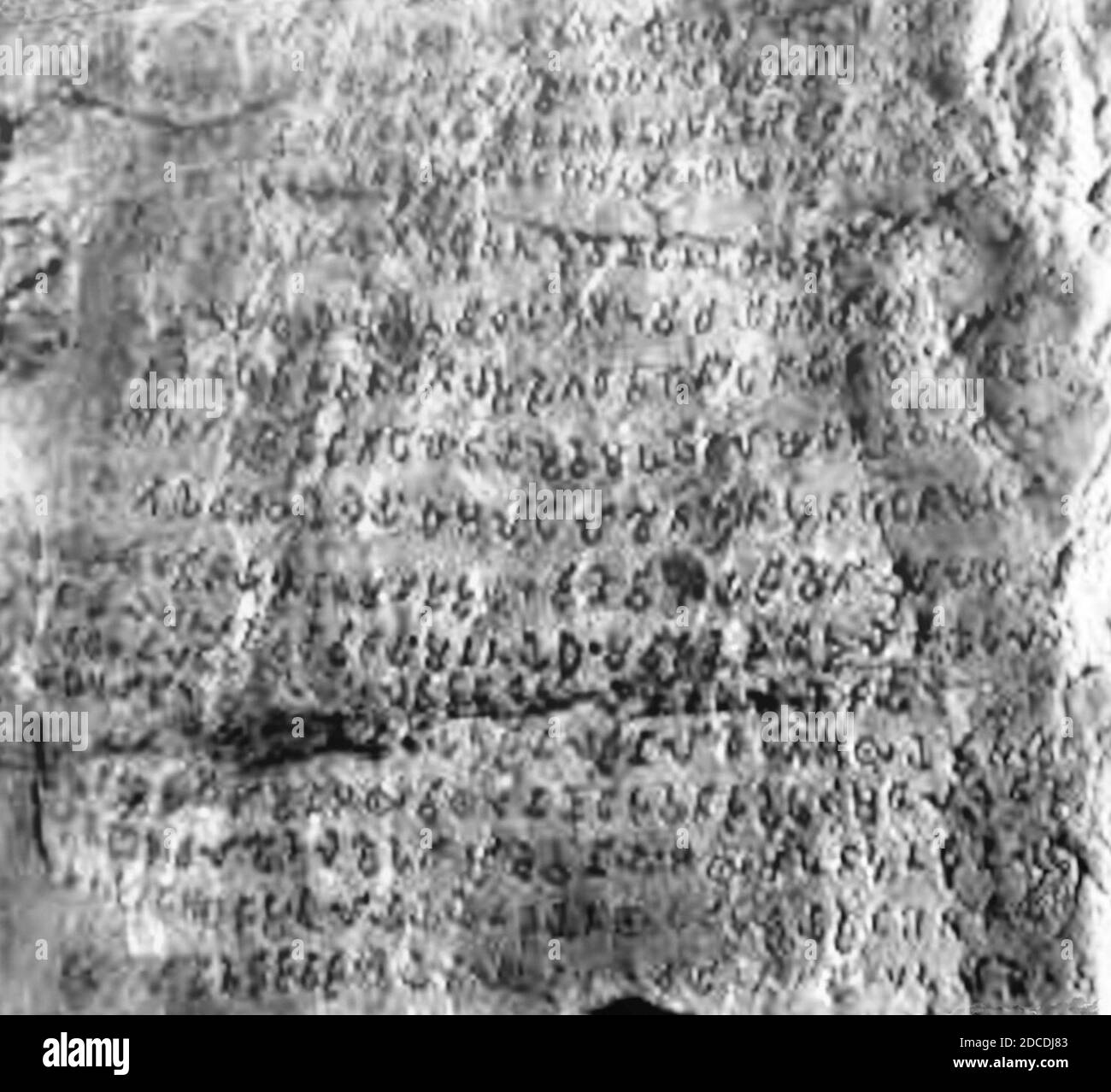 Khalsi Edict 13 Stock Photo - Alamy