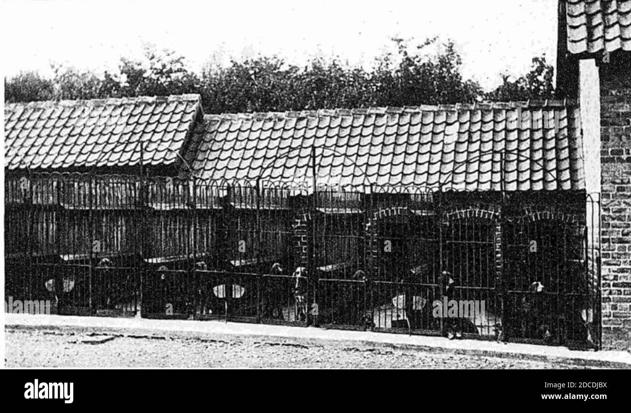 Kennels at Scalby Manor 1898 Stock Photo - Alamy