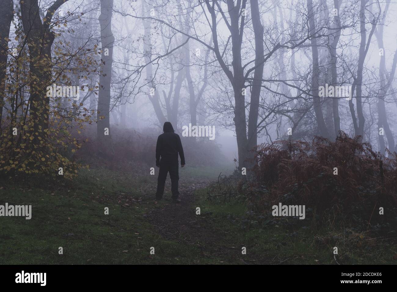 Hooded figure forest hi-res stock photography and images - Alamy