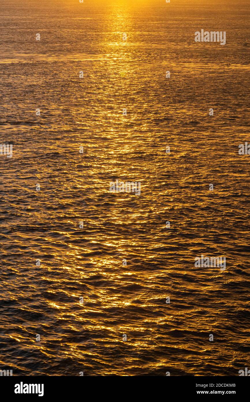 Golden Sun Reflection On Water