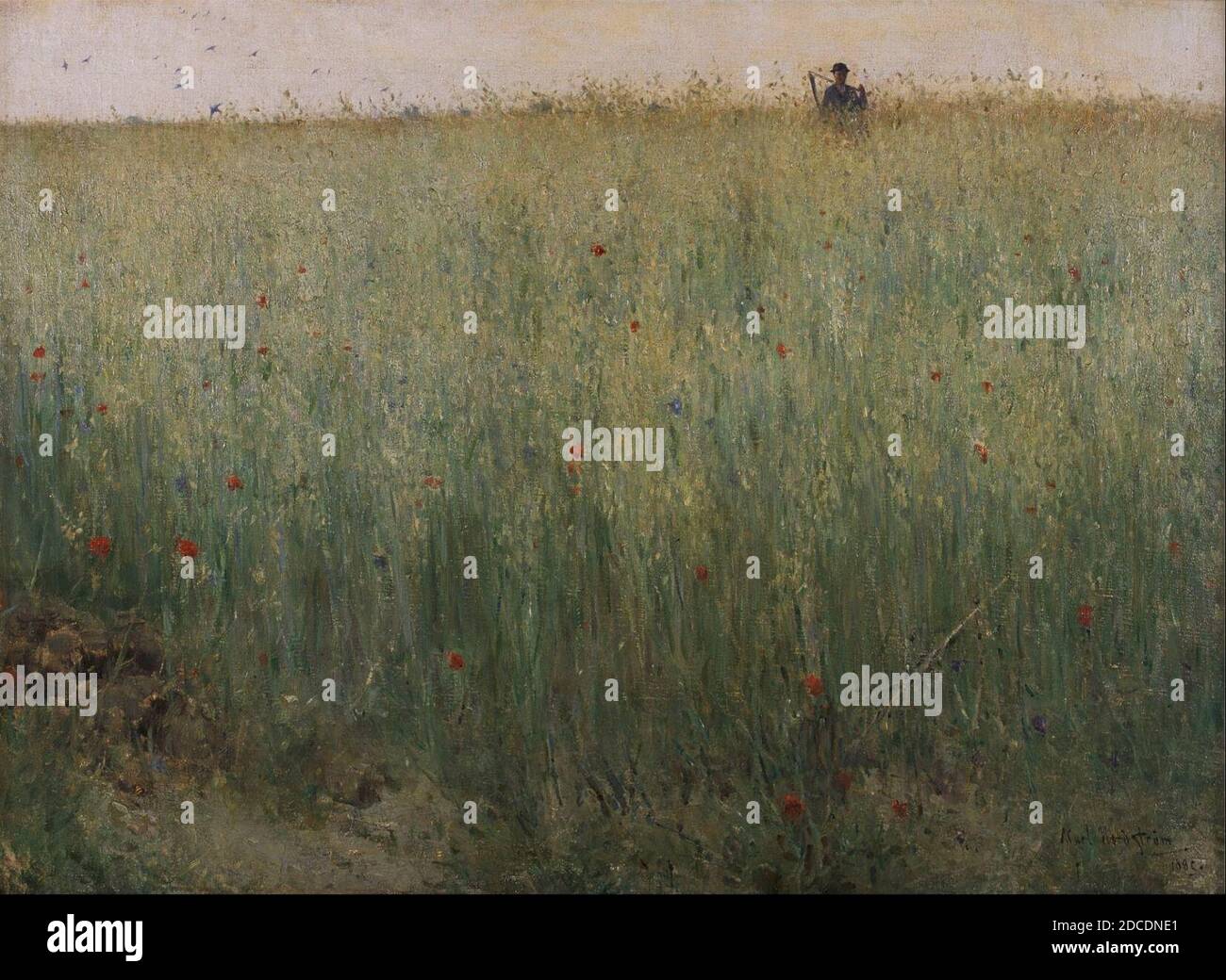 Karl Nordström - Field of Oats at Grez Stock Photo - Alamy