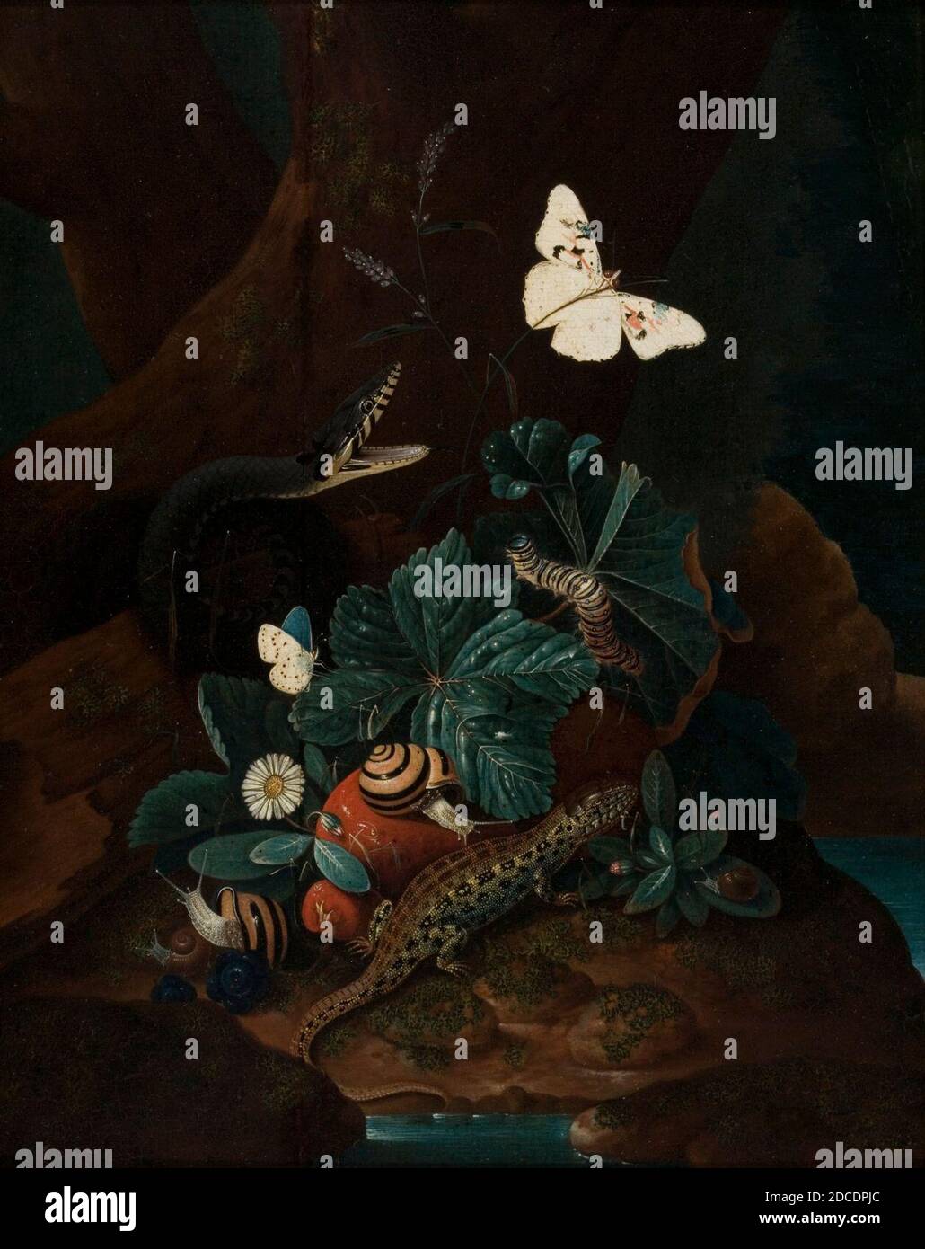 Karl Wilhelm de Hamilton - Forest Floor Still Life Stock Photo - Alamy