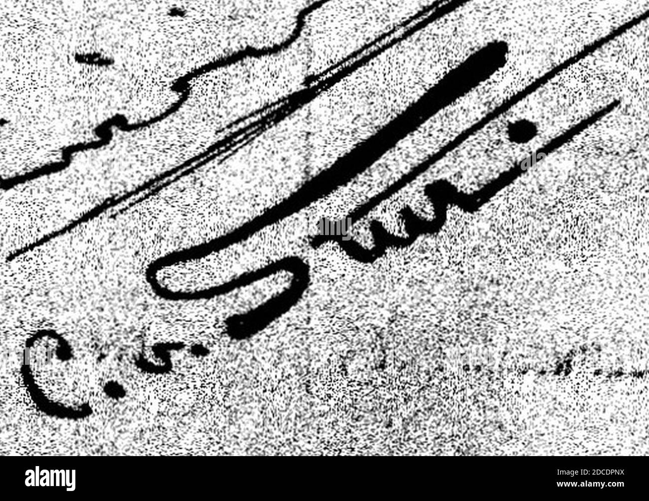 Wolfrum High Resolution Stock Photography and Images - Alamy