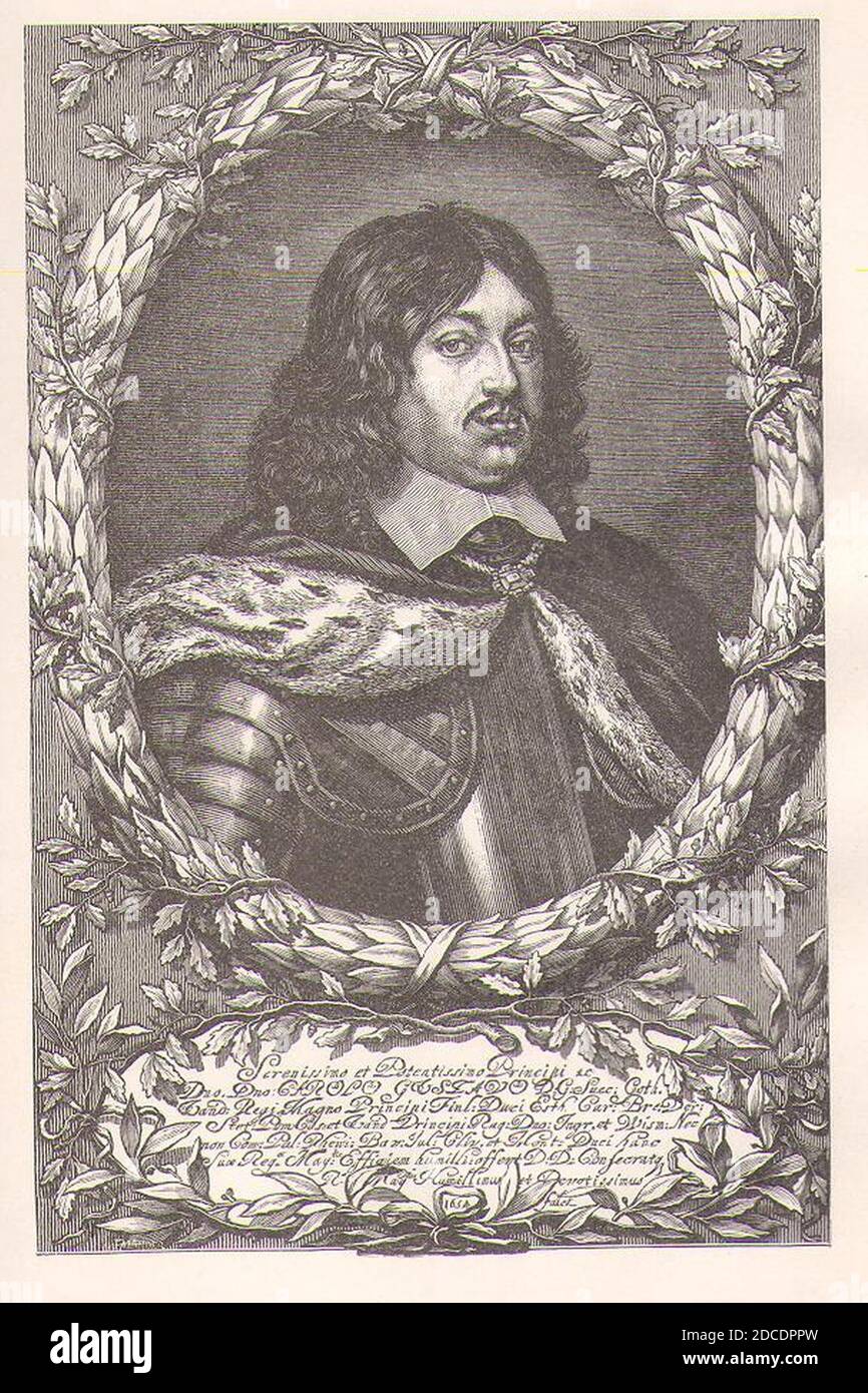 Karl x gustav hi-res stock photography and images - Alamy