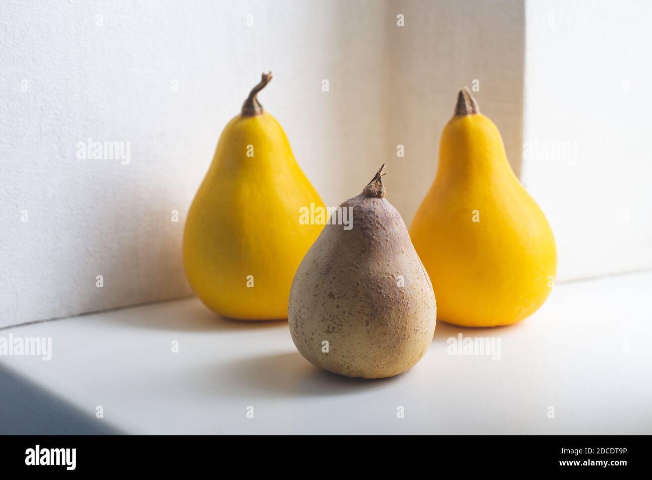 Still life of three yellow pears on a white table. Beautiful shadows ...