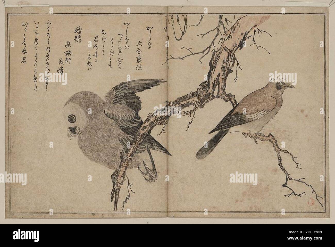 Fukuro hi-res stock photography and images - Alamy