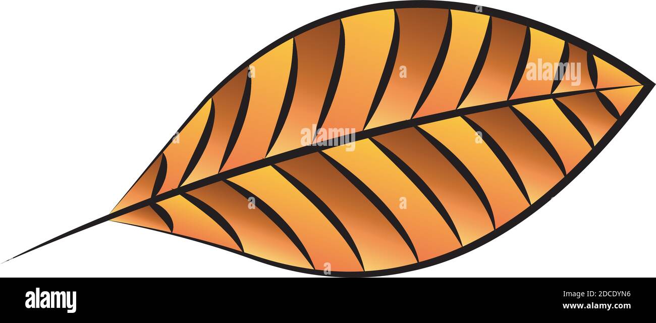 Dry autumn leaf Stock Vector Image & Art - Alamy