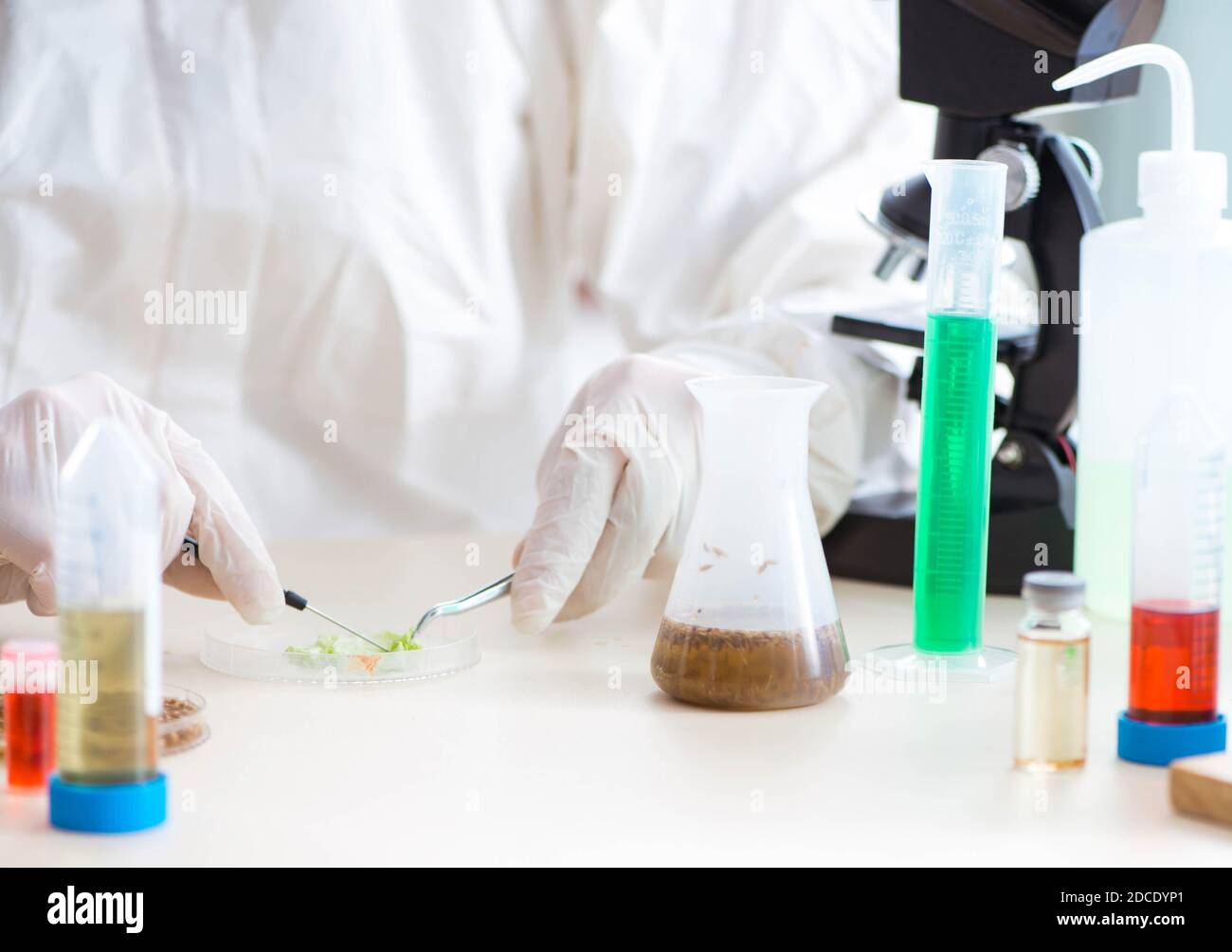 The male biochemist working in the lab on plants Stock Photo - Alamy