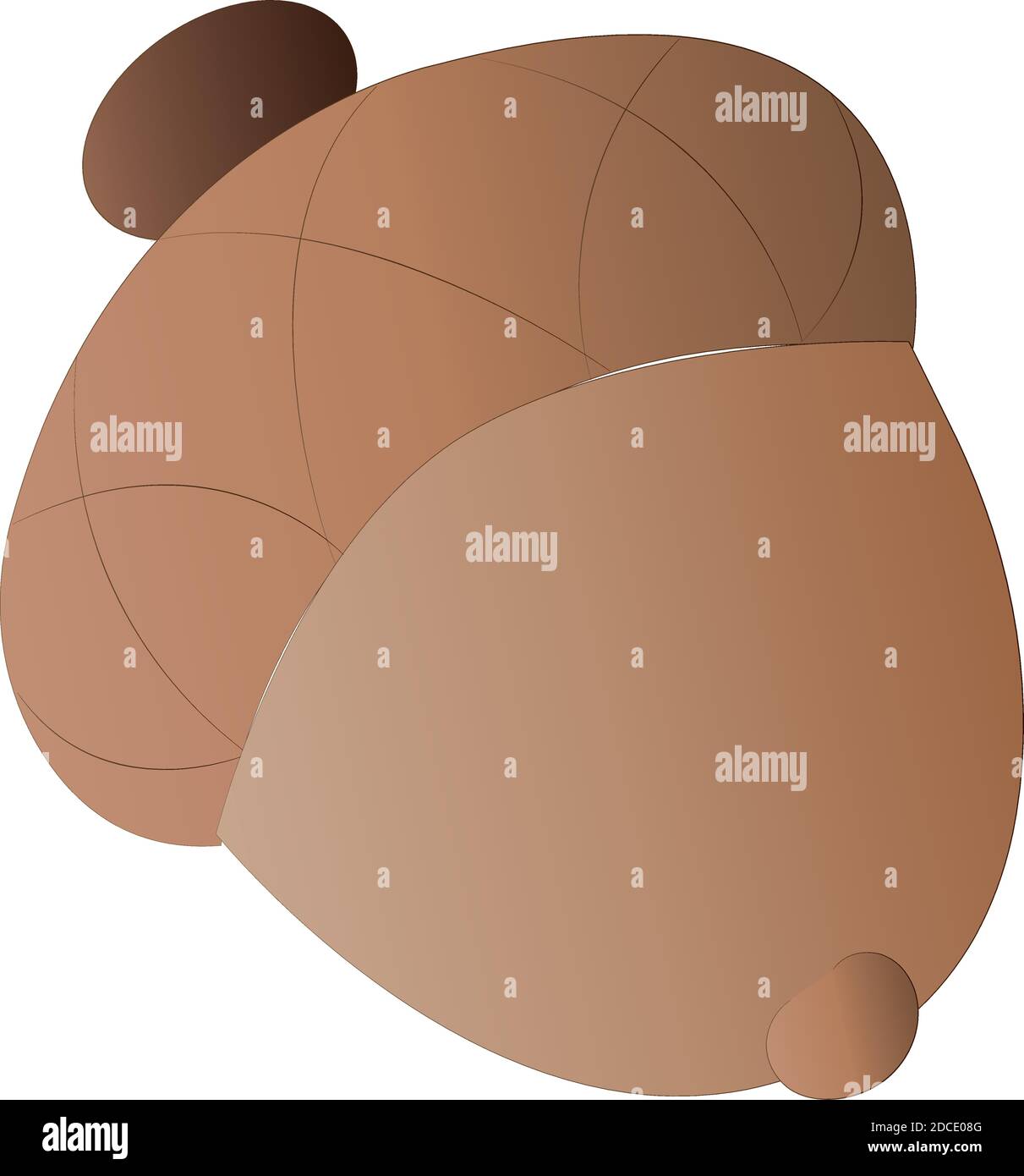 Acorn plant background Stock Vector Images - Alamy