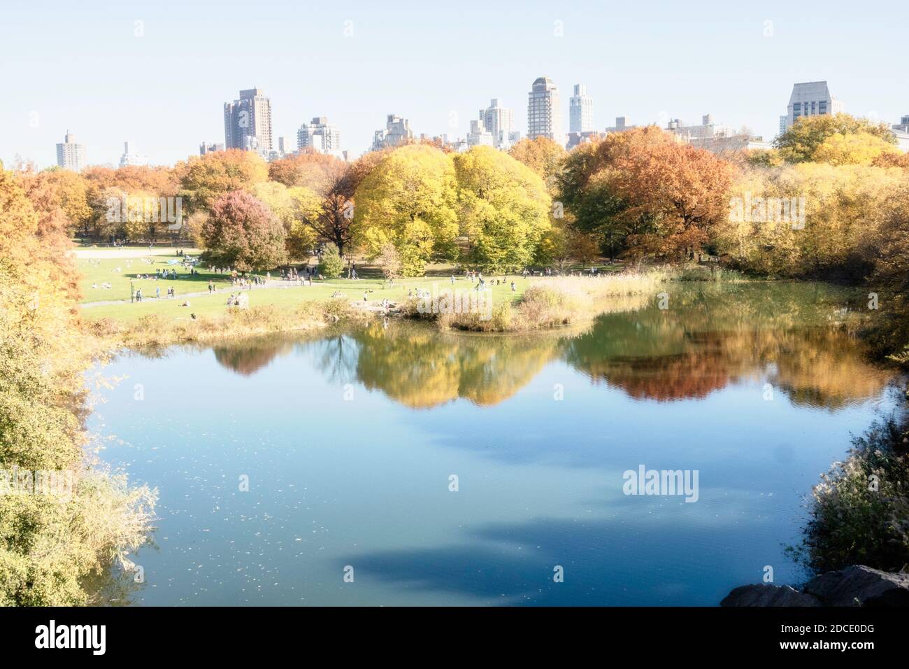 Colorful turtle hi-res stock photography and images - Alamy