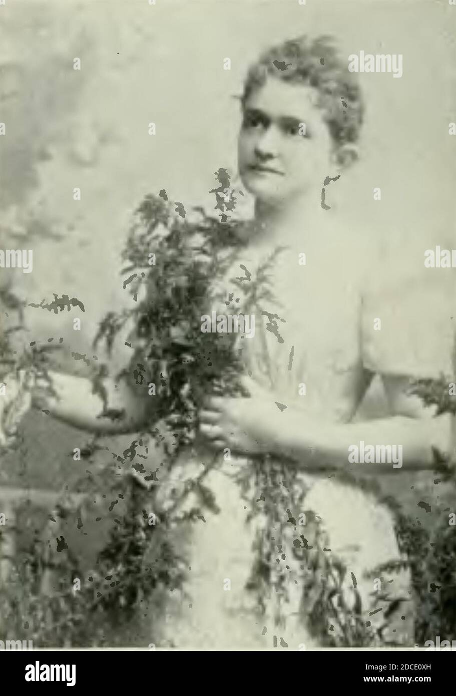 KATE SLAUGHTER McKINNEY A woman of the century (page 498 crop Stock ...