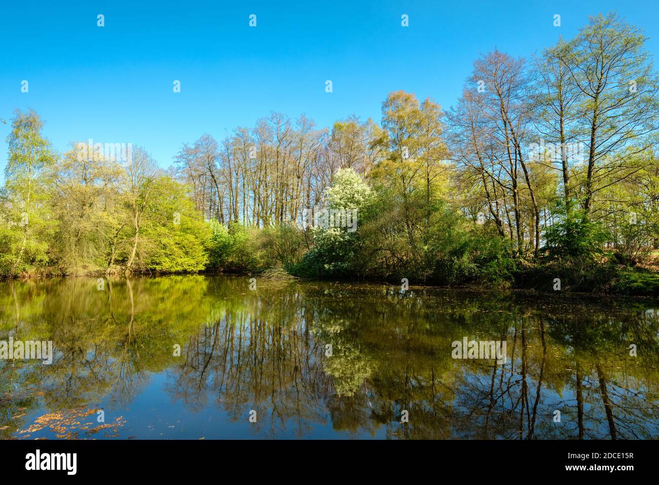 Walking trail in a beautiful Dutch farm landscape along a gorgeous lake ...