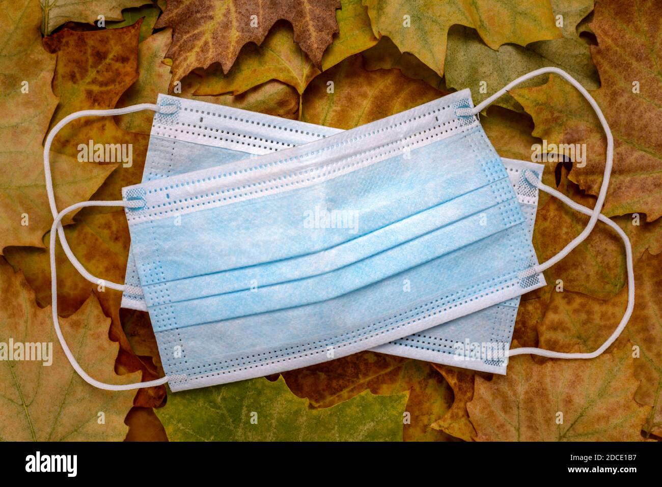 Blue face masks on dry autumn leaves with copy space for text. Face ...