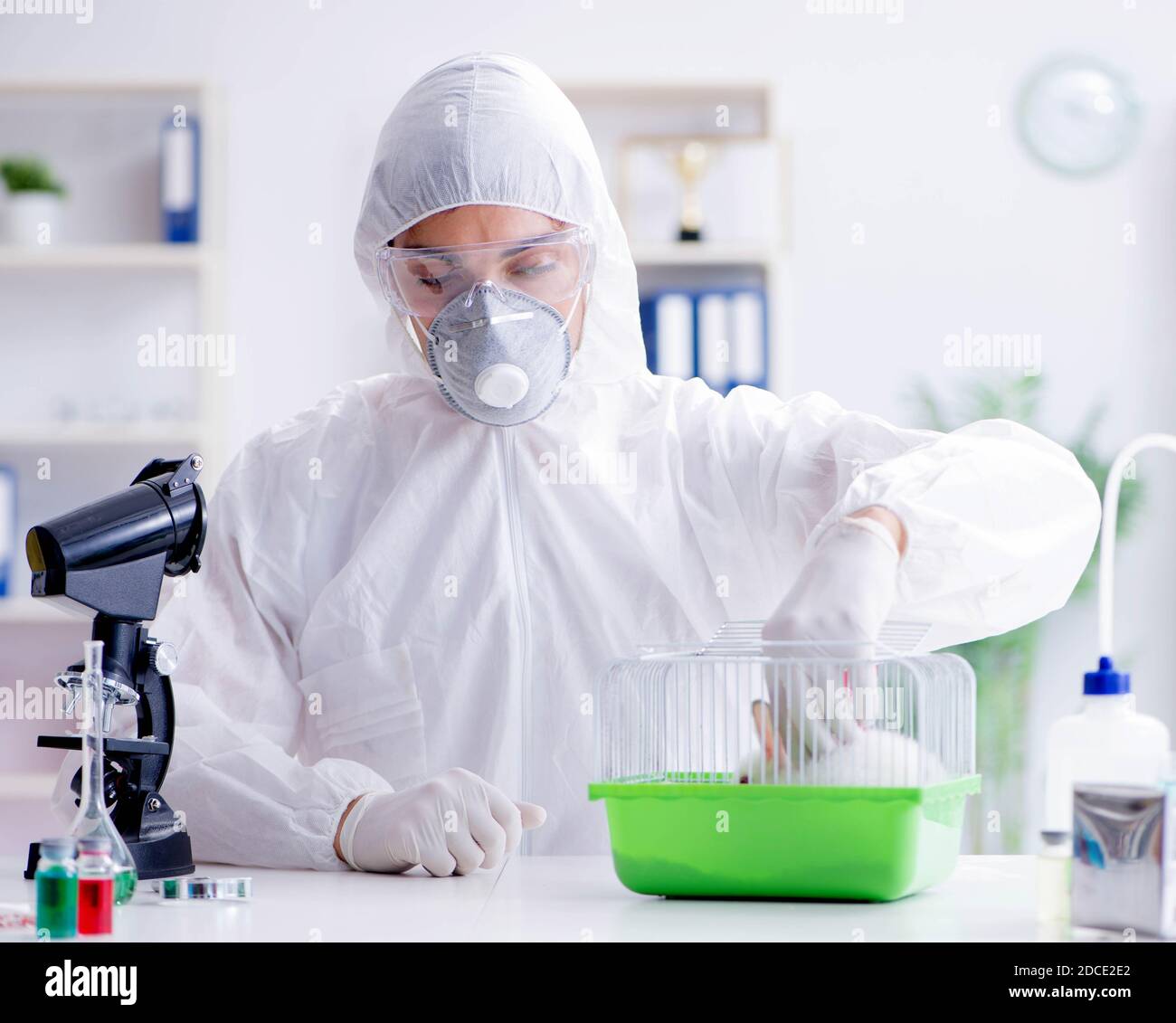 The scientist doing animal experiment in lab with rabbit Stock Photo ...