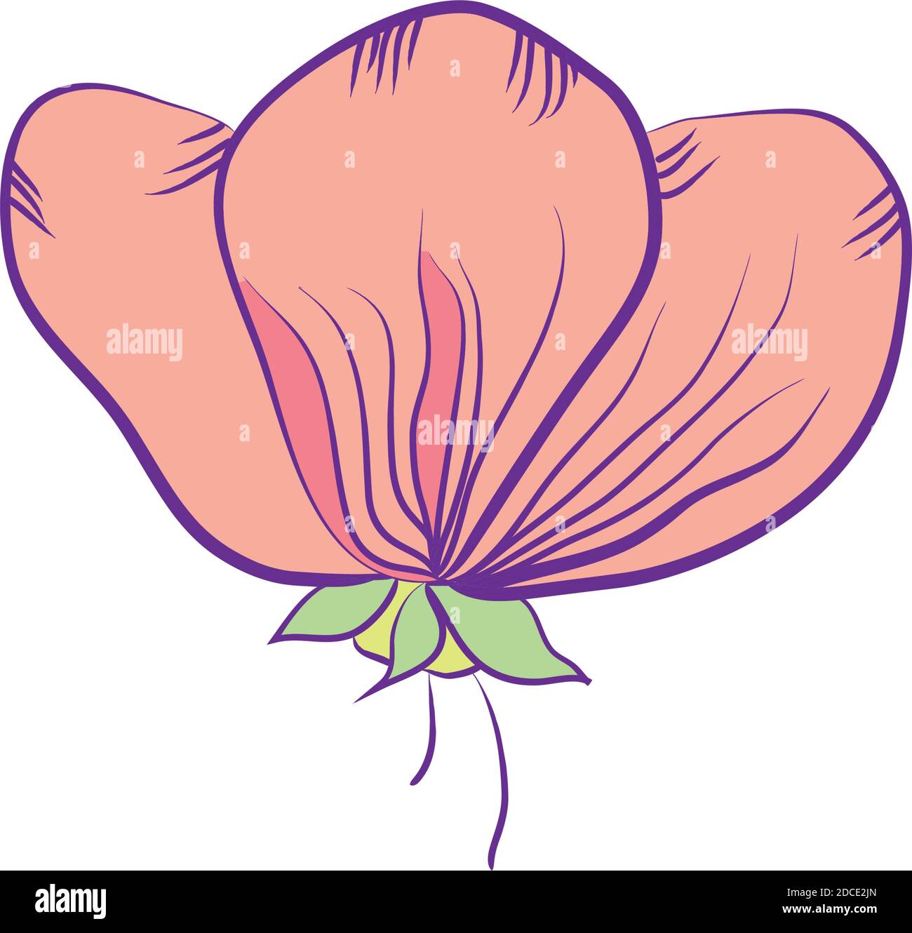 Sketch of a flower Stock Vector Image & Art - Alamy