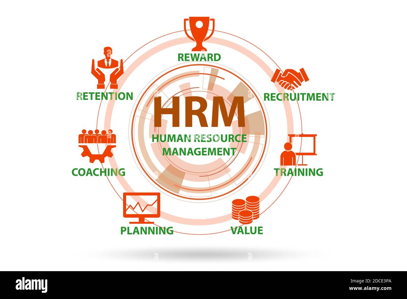 HRM - human resources management business concept Stock Photo - Alamy