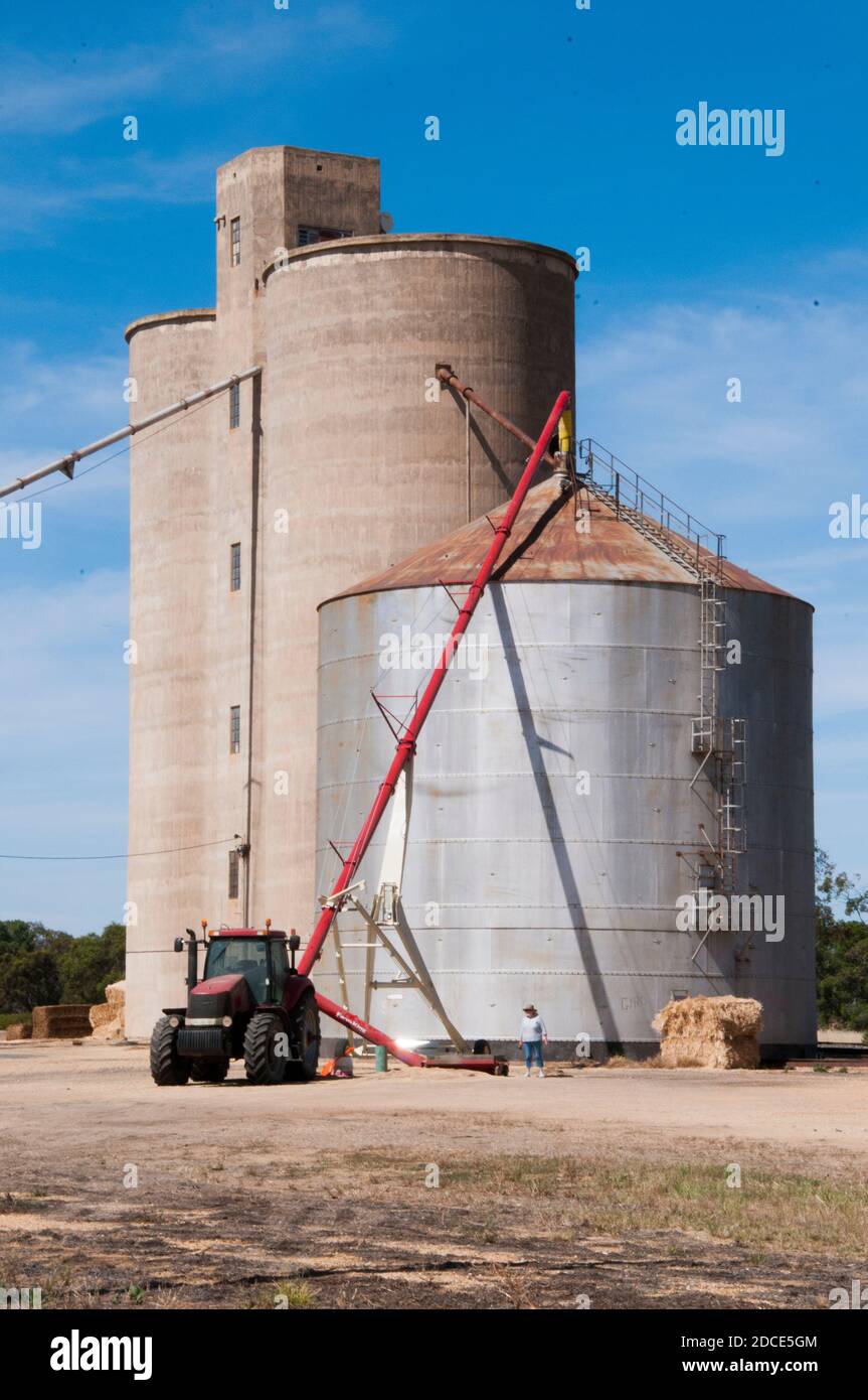 Australian wheat harvest hi-res stock photography and images - Alamy