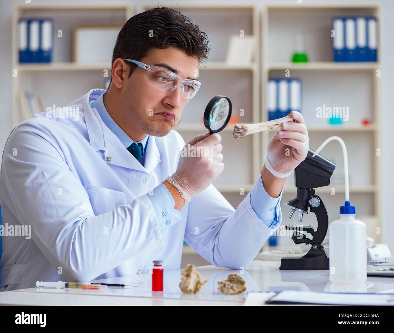 The paleontologist looking at extinct animal bone Stock Photo - Alamy