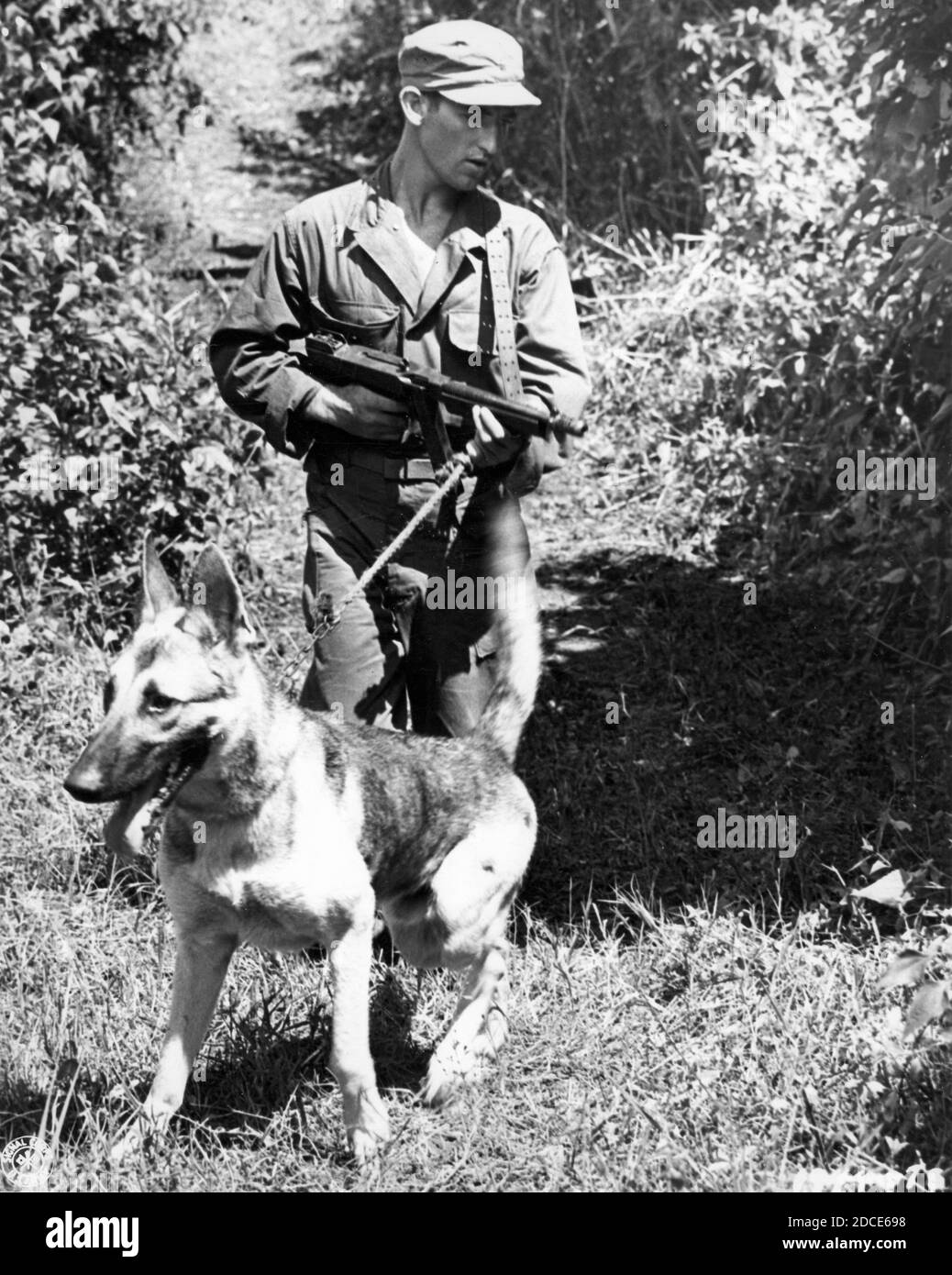 WW II - An American GI with a Thompson submachine gun and a military K ...