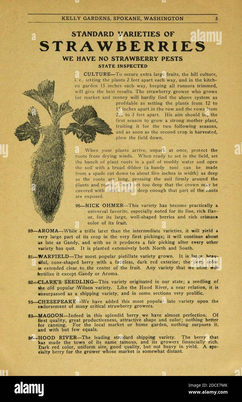 Kelly Plant Gardens materials (Page 5 Stock Photo - Alamy