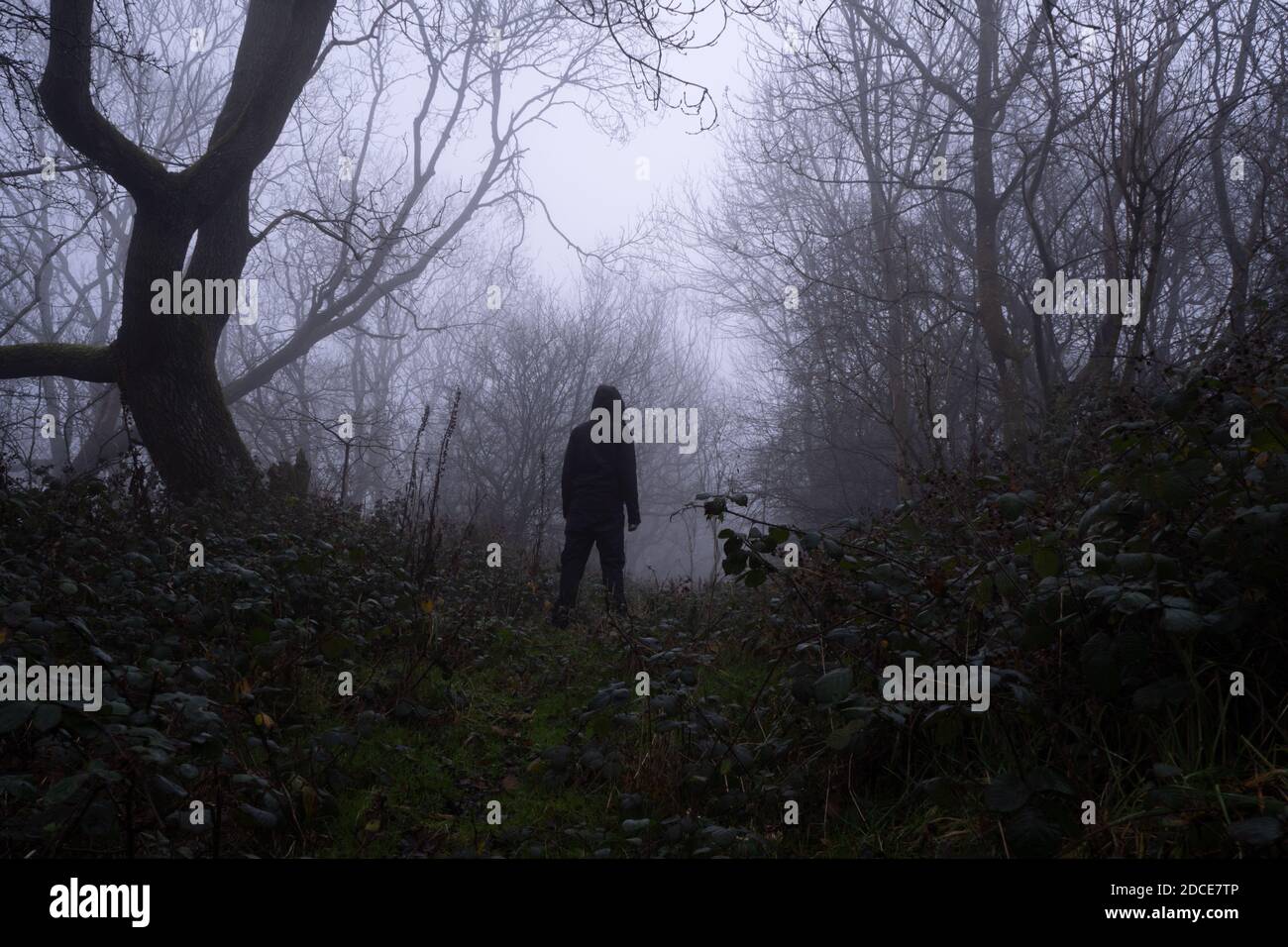 Hooded figure and woods hi-res stock photography and images - Alamy