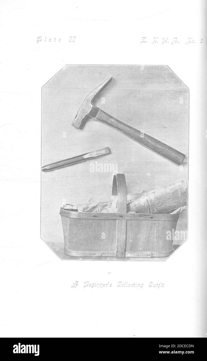 Key to the upper Devonian of southern New York (Page Plate II Stock ...