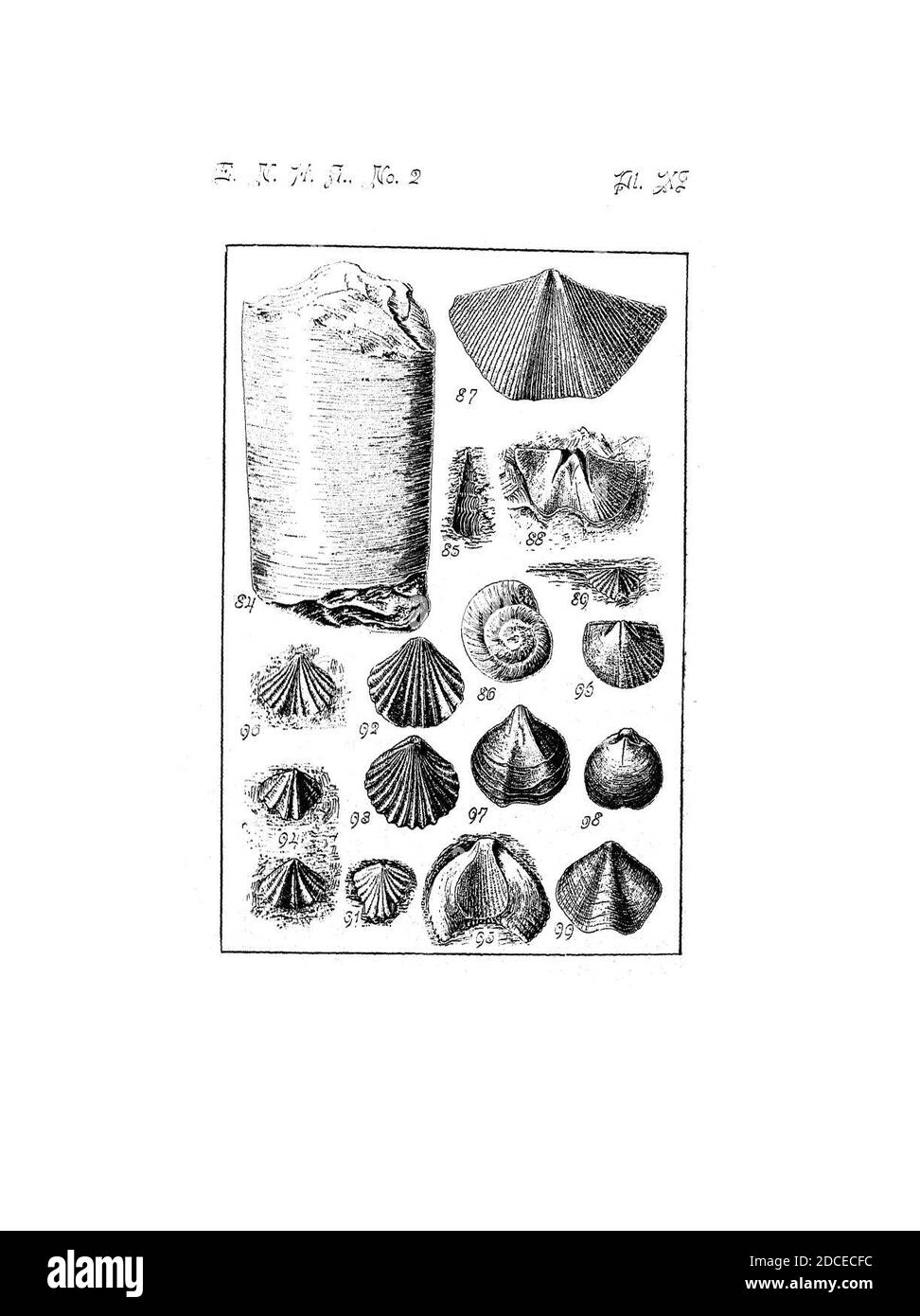 The xi new york Black and White Stock Photos & Images - Alamy