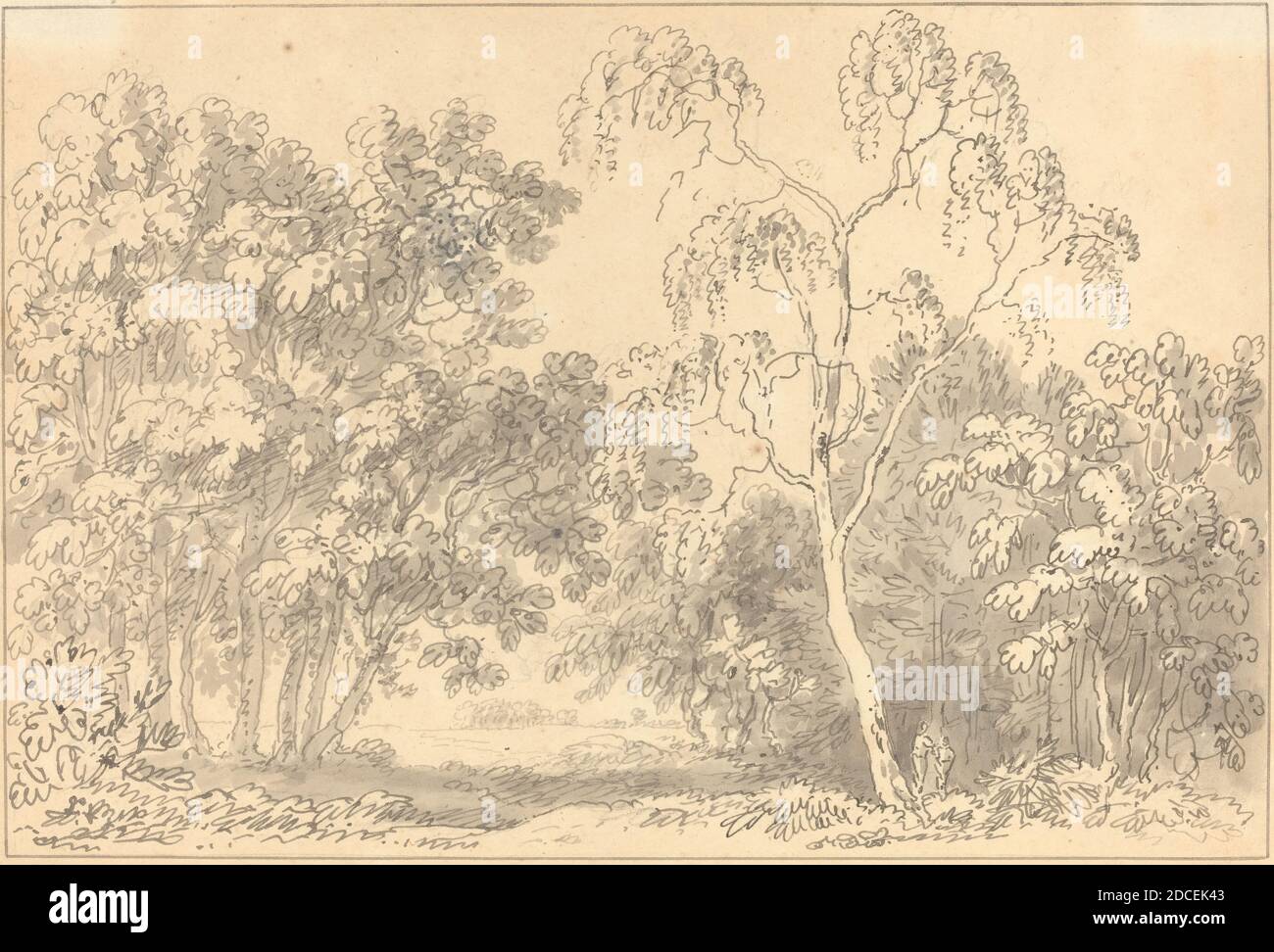 Anthony Devis, (artist), British, 1729 - 1817, Wooded Landscape, pen ...