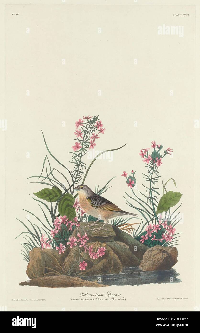 Robert Havell, Jr., (artist), American, born England, 1793 - 1878, John ...