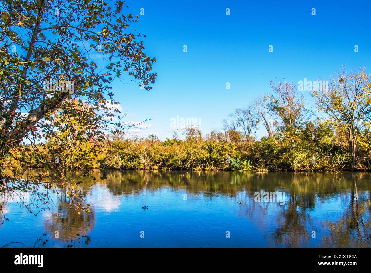 View of a river and Fall foliage in Augusta Ga Stock Photo - Alamy