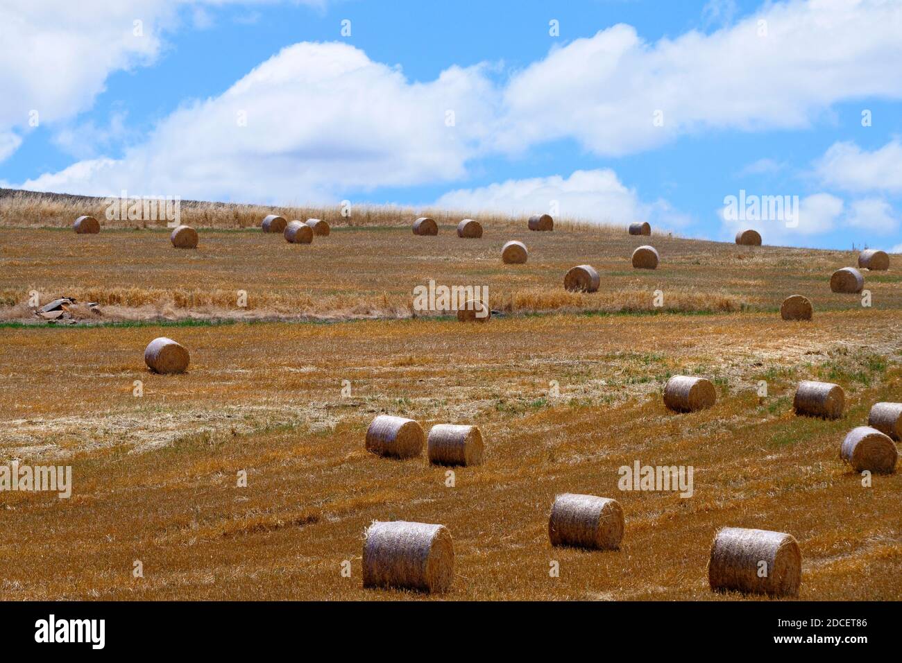 Hay rolls in field, Bindoon, Western Australia Stock Photo - Alamy