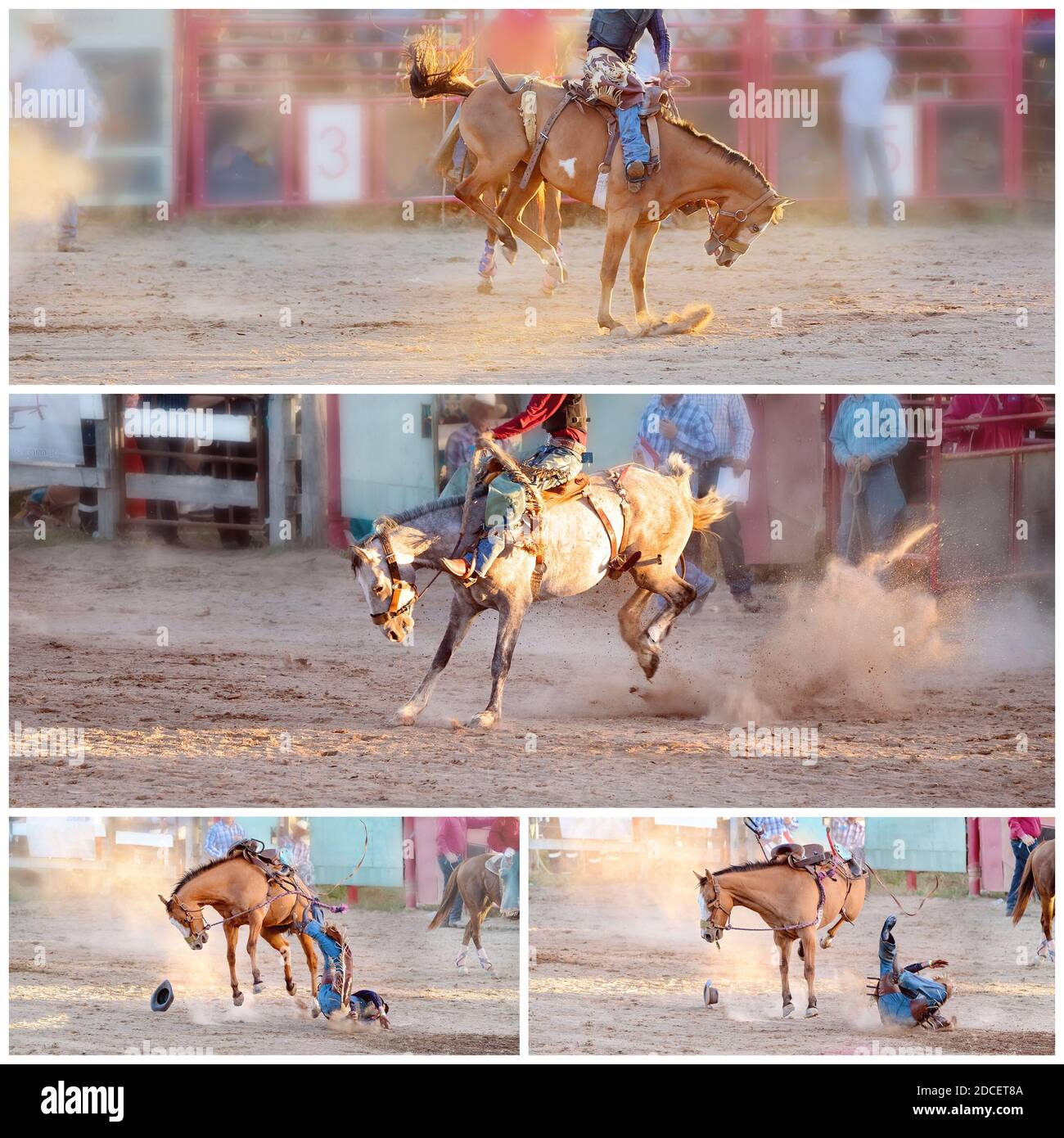 Collage of images of bucking broncos riding competition at a country ...